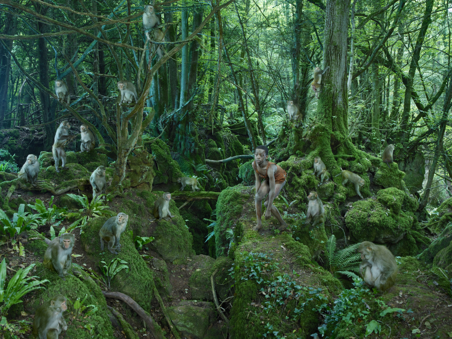 Bilder: Wolfskinder - allein in der Wildnis