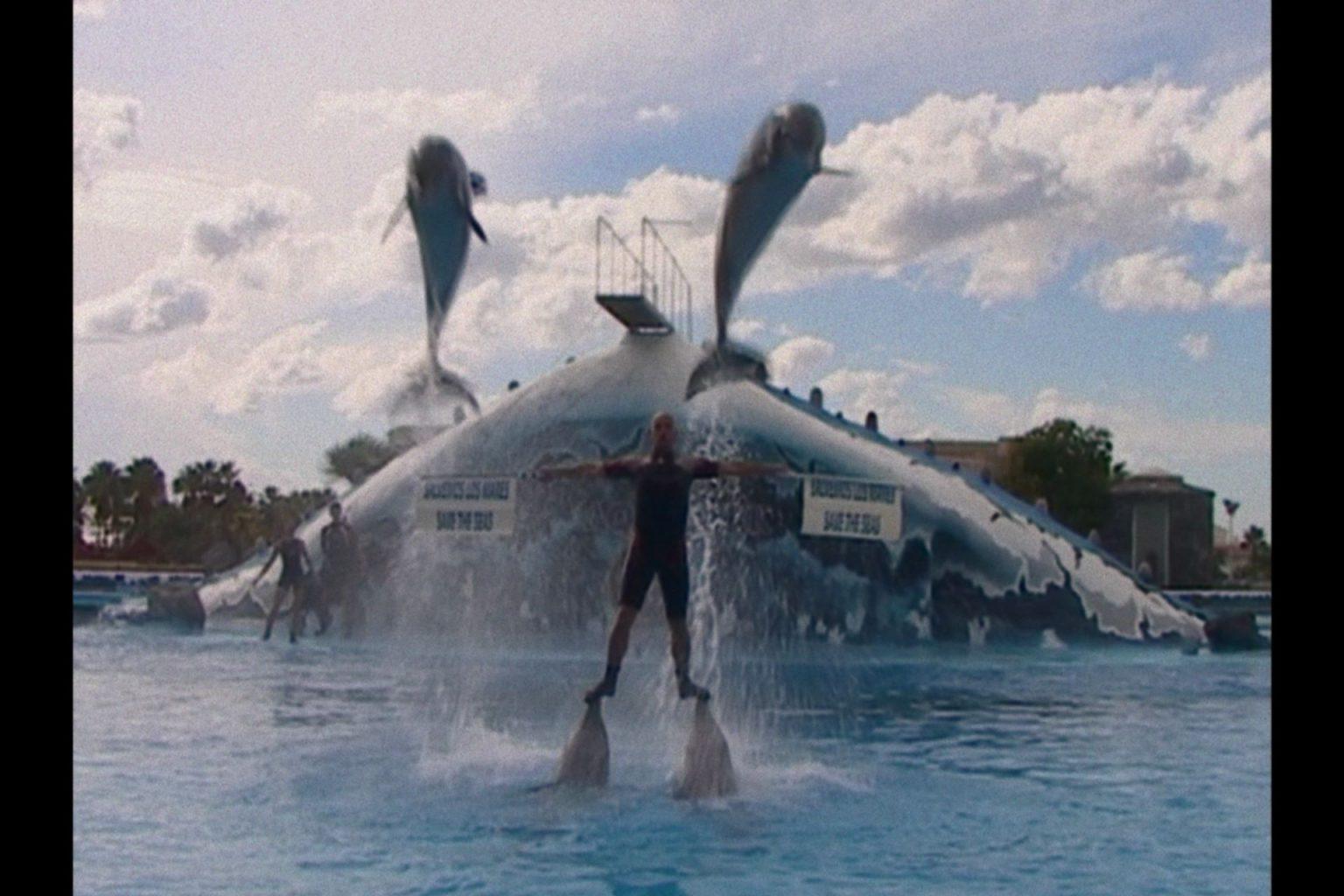 Was geschah mit dem Delfin-König?: alle Infos zur Netflix-Doku | ZEITjUNG